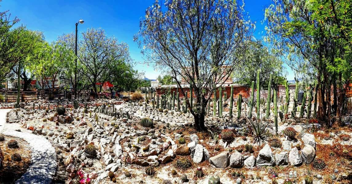 Reapertura del Museo Arqueológico de Coyotepec «Ehecalli» - Revista ...